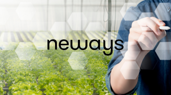 Bedrijfsbezoek Neways Technology - VNO-NCW Brabant Zeeland